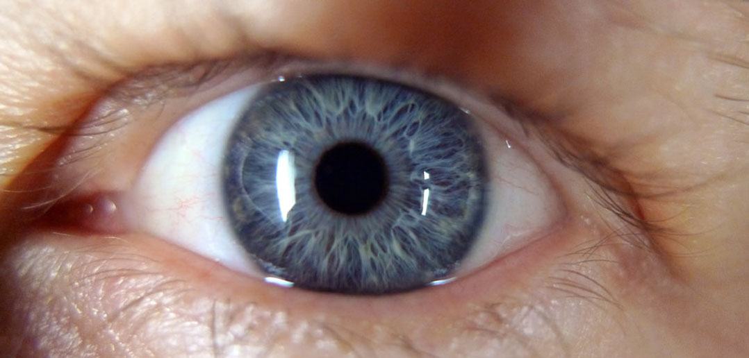 Eye tracking Study Examines Audience Gaze While Watching A Musical Eye tracking Study Examines Audience Gaze While Watching A Musical